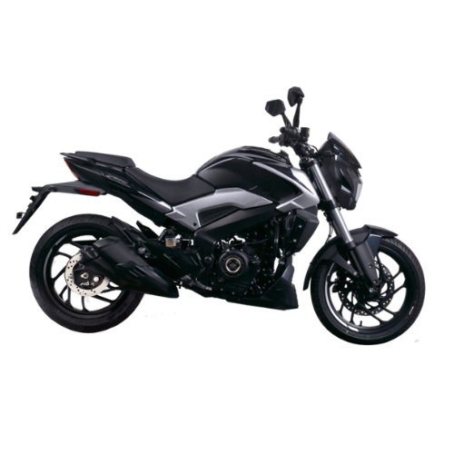 MODENAS DOMINAR D250 - Heap Hing Motor